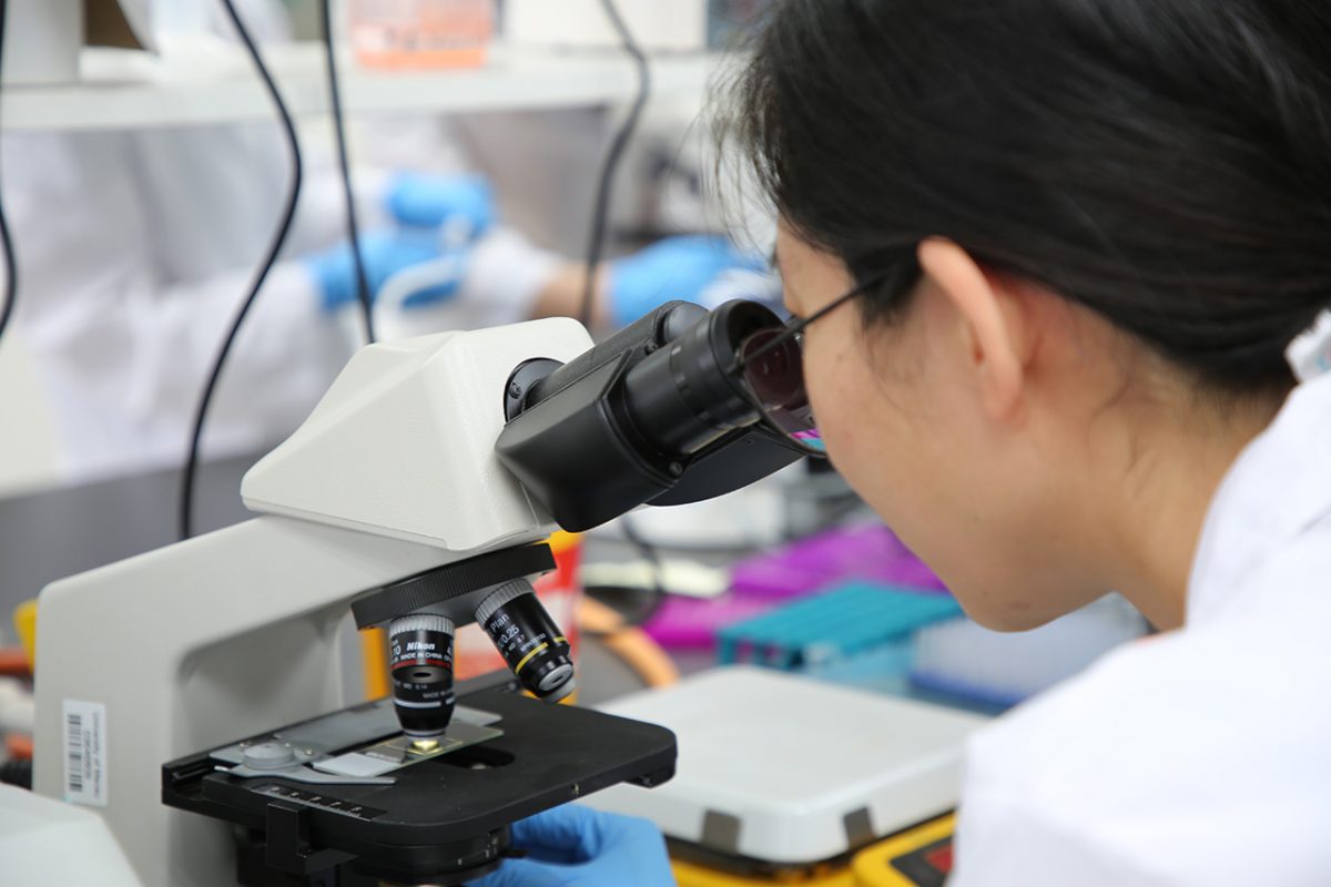 Biological Imaging and Stem Cell Core - Faculty of Health Sciences (FHS)