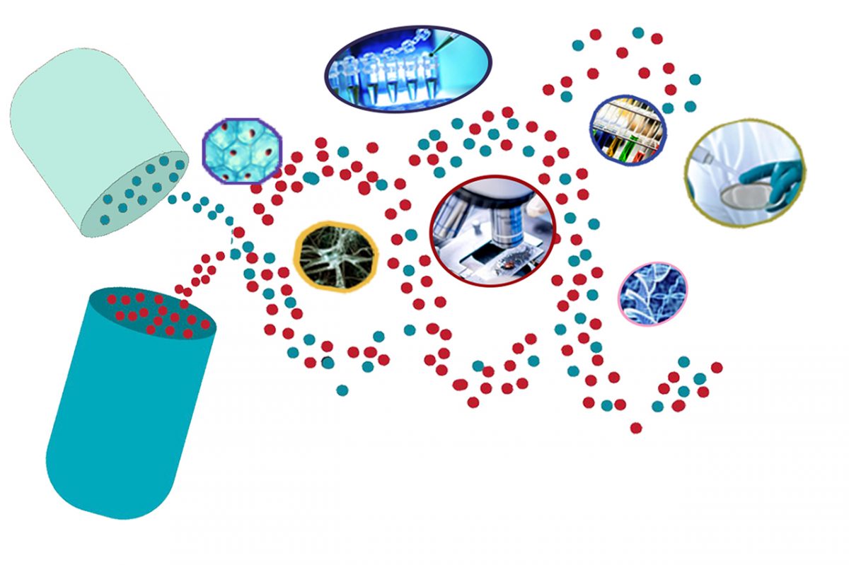 Institute of Translational Medicine - Faculty of Health Sciences (FHS)