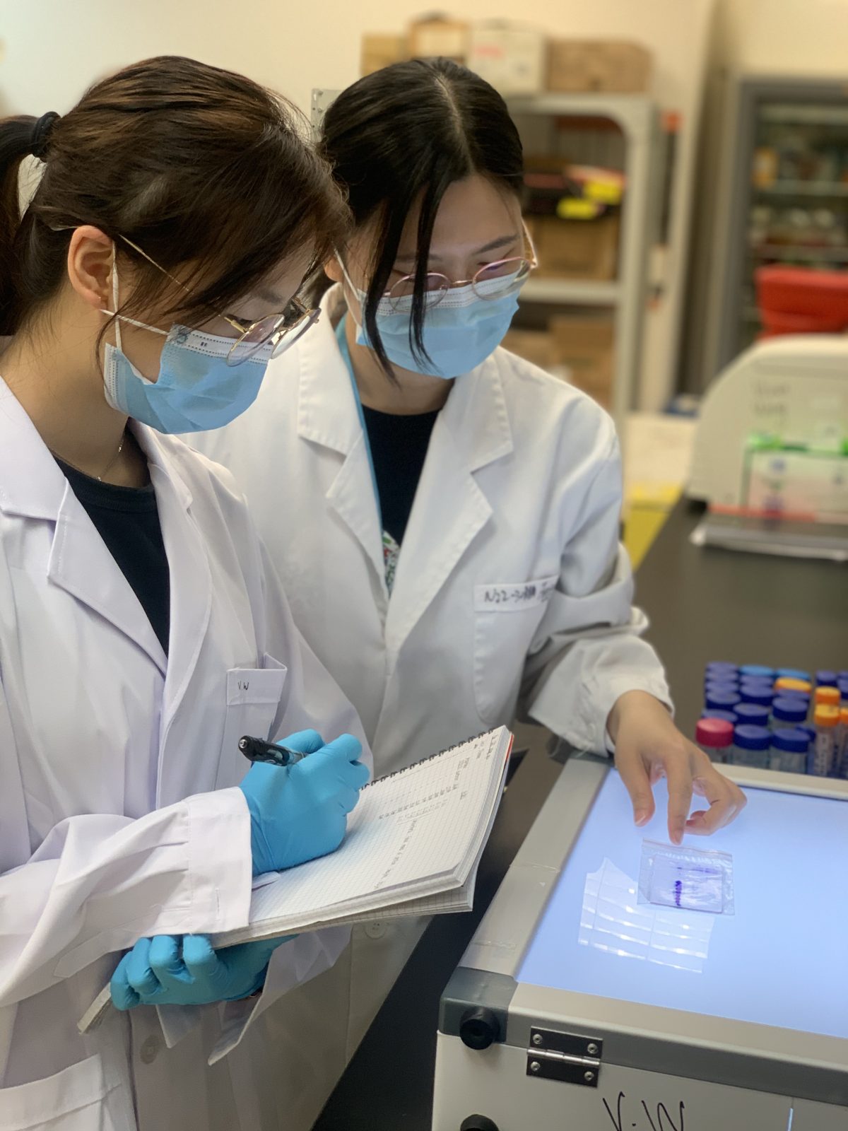 Summer Laboratory Work Experience Programme 2020 boosts local high ...