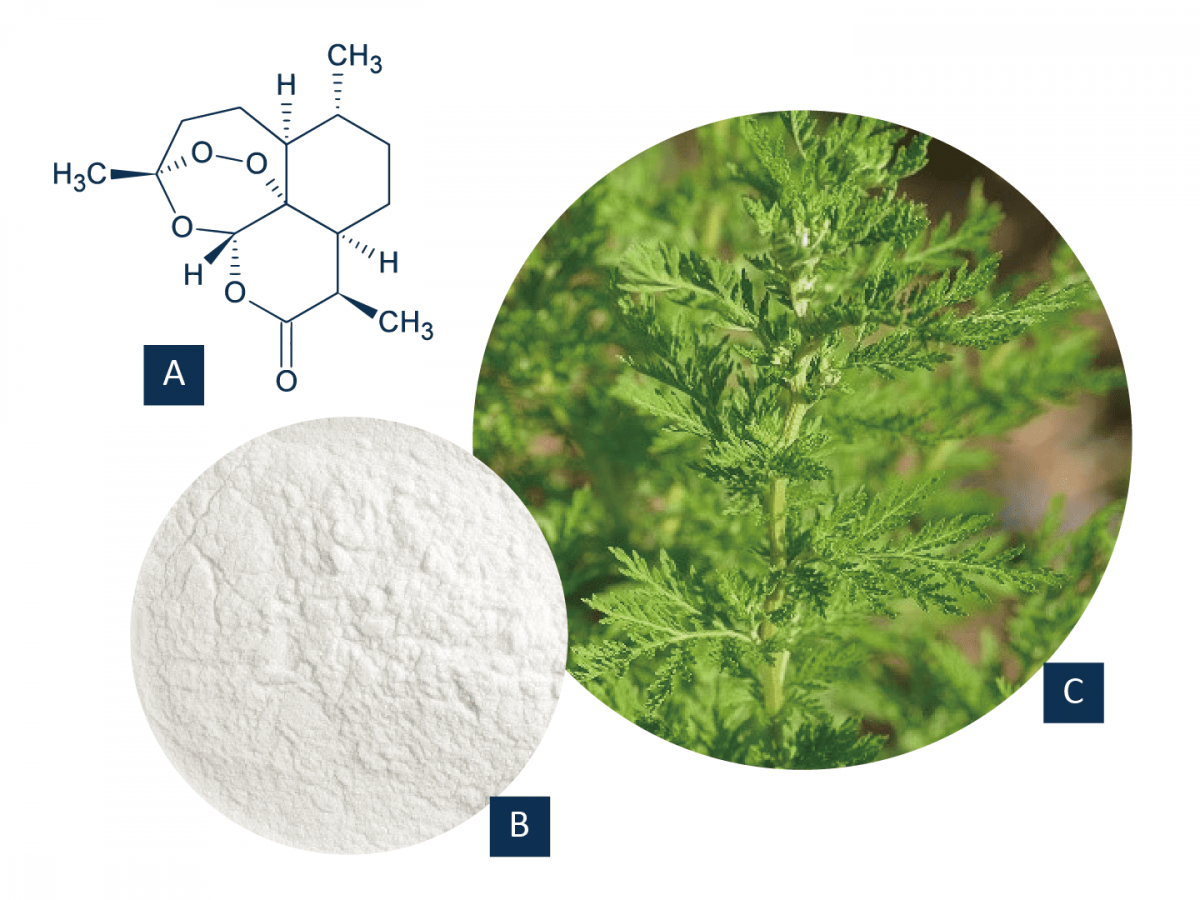 Artemisinin and Its Derivatives in the Treatment of Eye Cancer ...