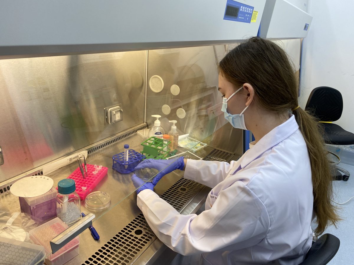 UM FHS’s Summer Laboratory Work Experience Programme engages local high ...