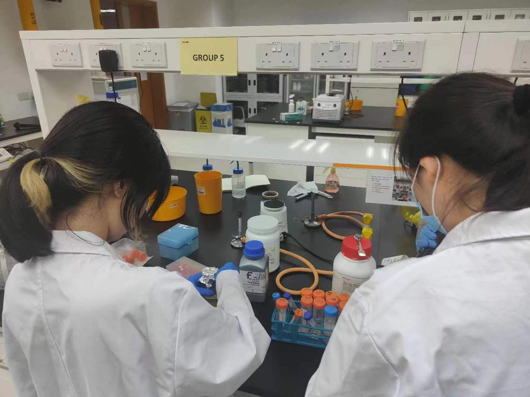 The UM team is actively preparing for the 2023 iGEM Competition ...