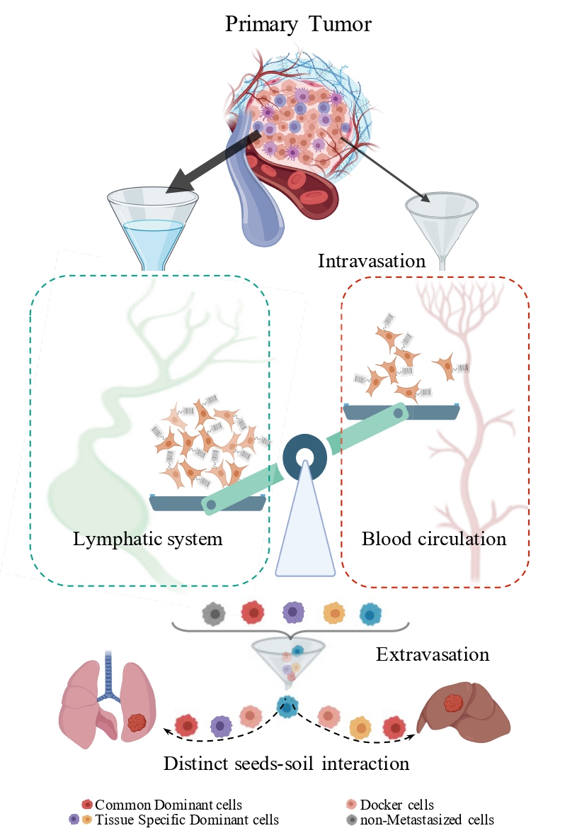 UM FHS research makes groundbreaking discovery in study of breast ...